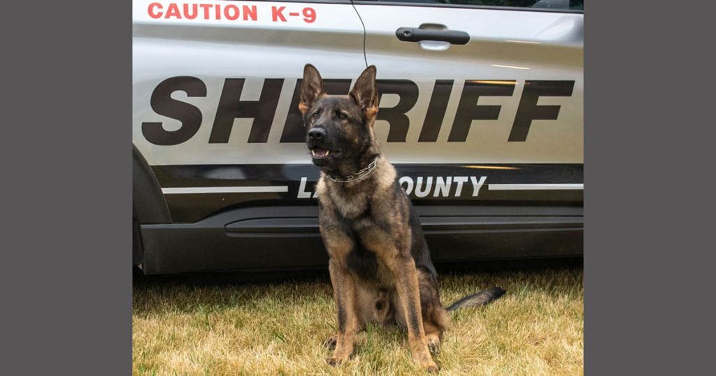 News - Lake County News Dispatch